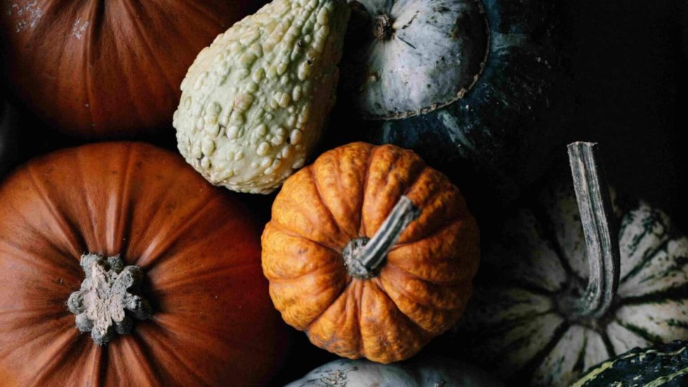 Samhain Traditions - 3 Simple Ways To Celebrate Halloween And Samhain ...